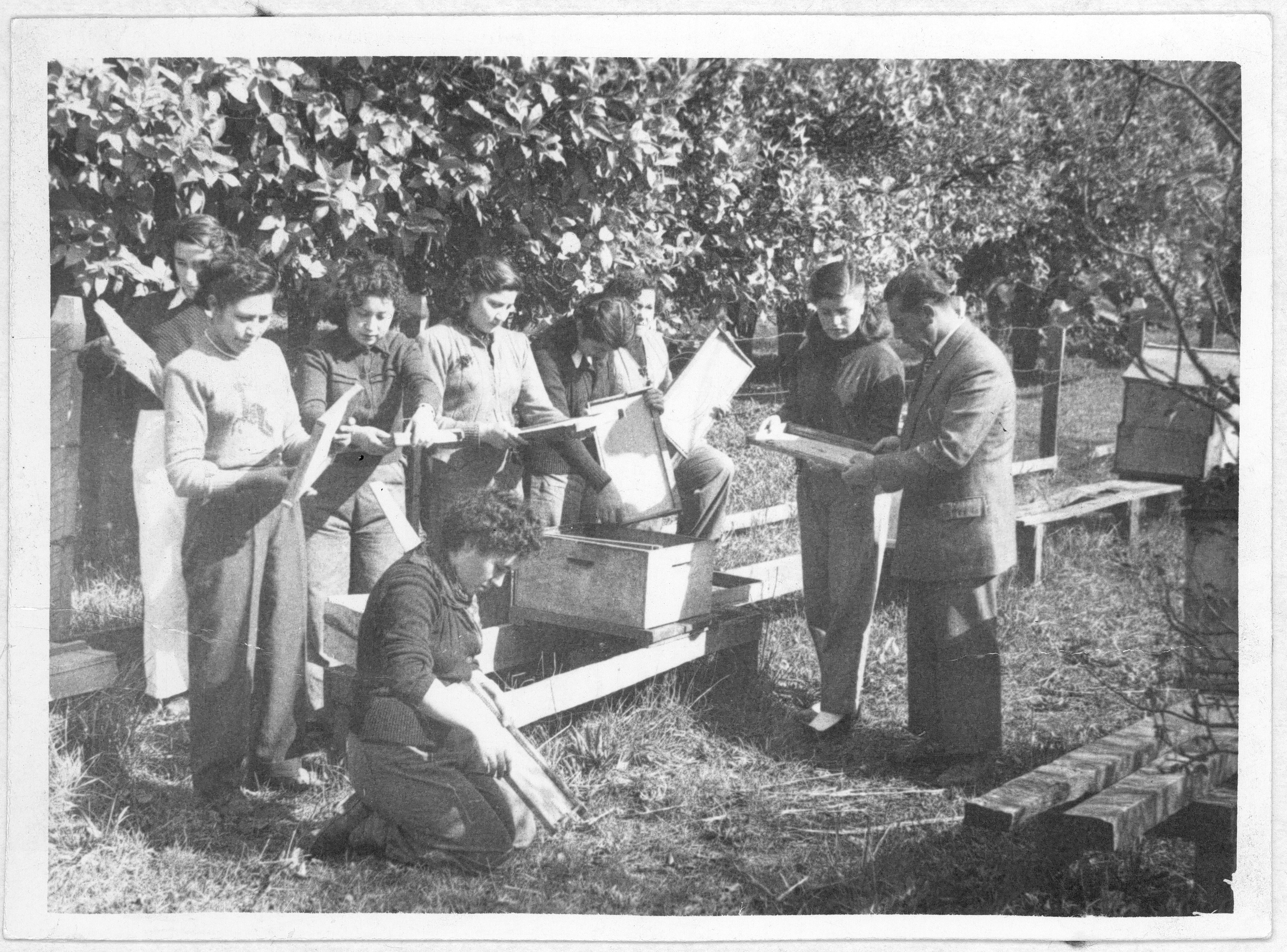 Charla: La educación primaria rural en Chile (1920-1970) | Museo de la ...