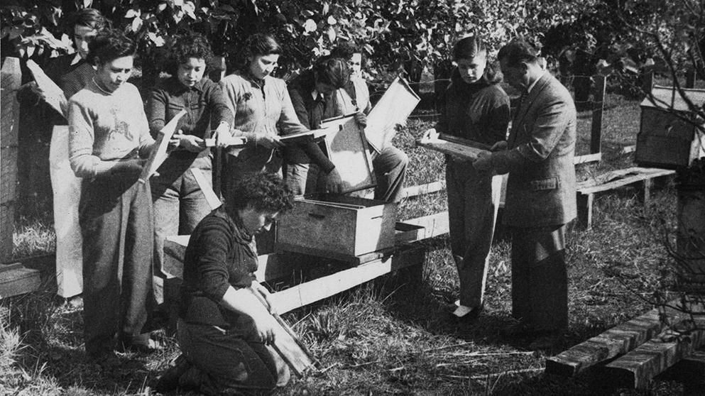 La escuela rural en Chile | Museo de la Educación Gabriela Mistral